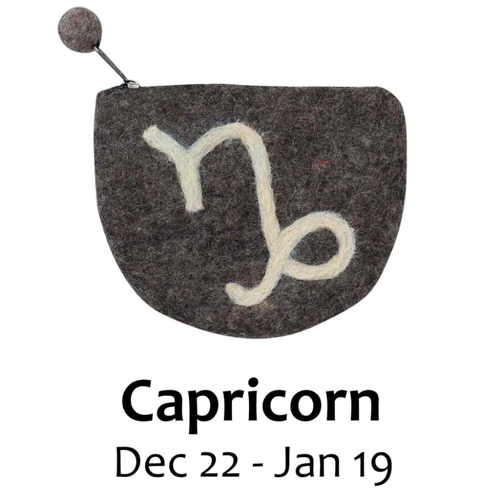 Felt Capricorn Zodiac Coin Purse Handmade and Fair Trade – The White ...